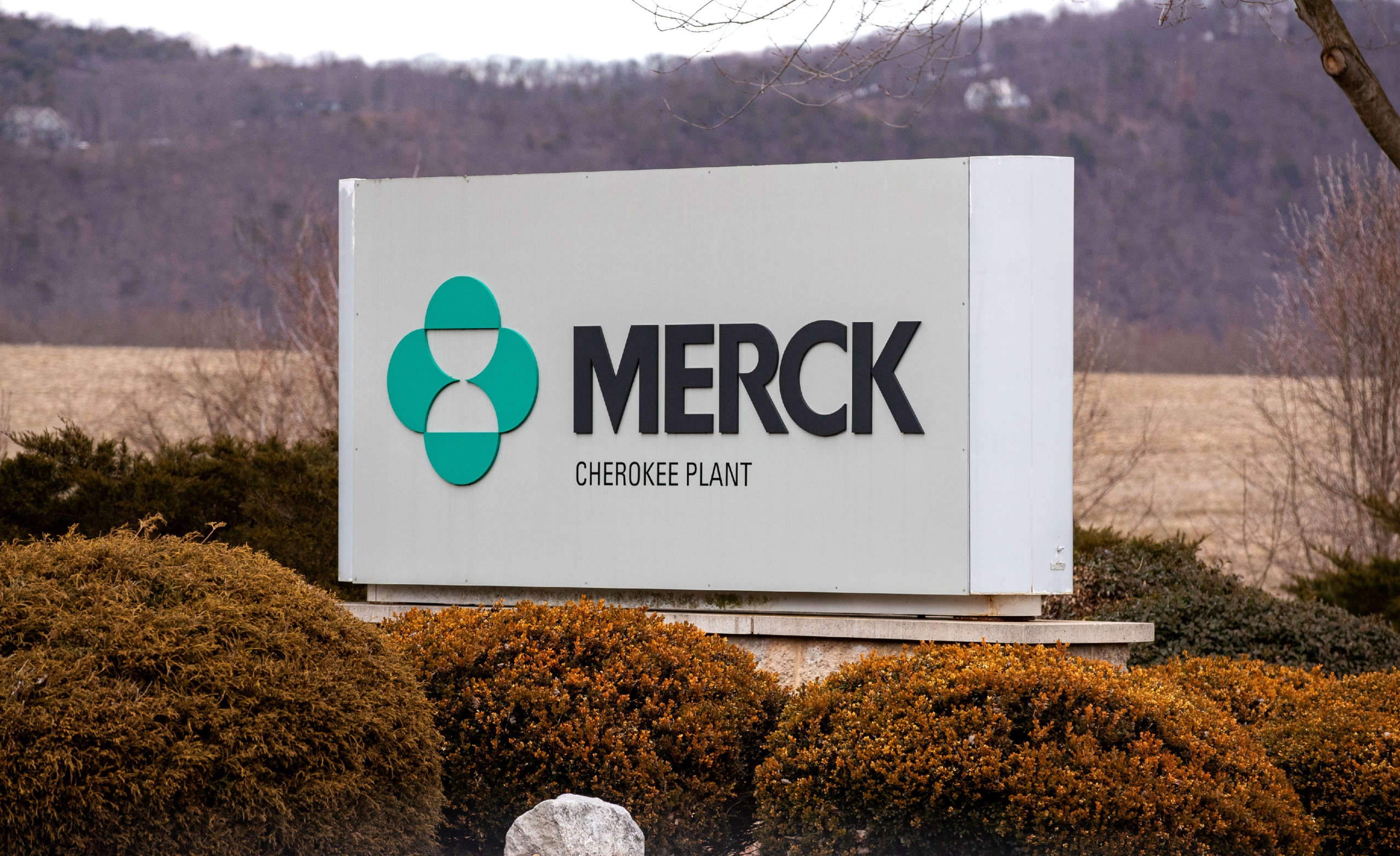 Merck to Submit First Pill-Based COVID Treatment for FDA Approval ...
