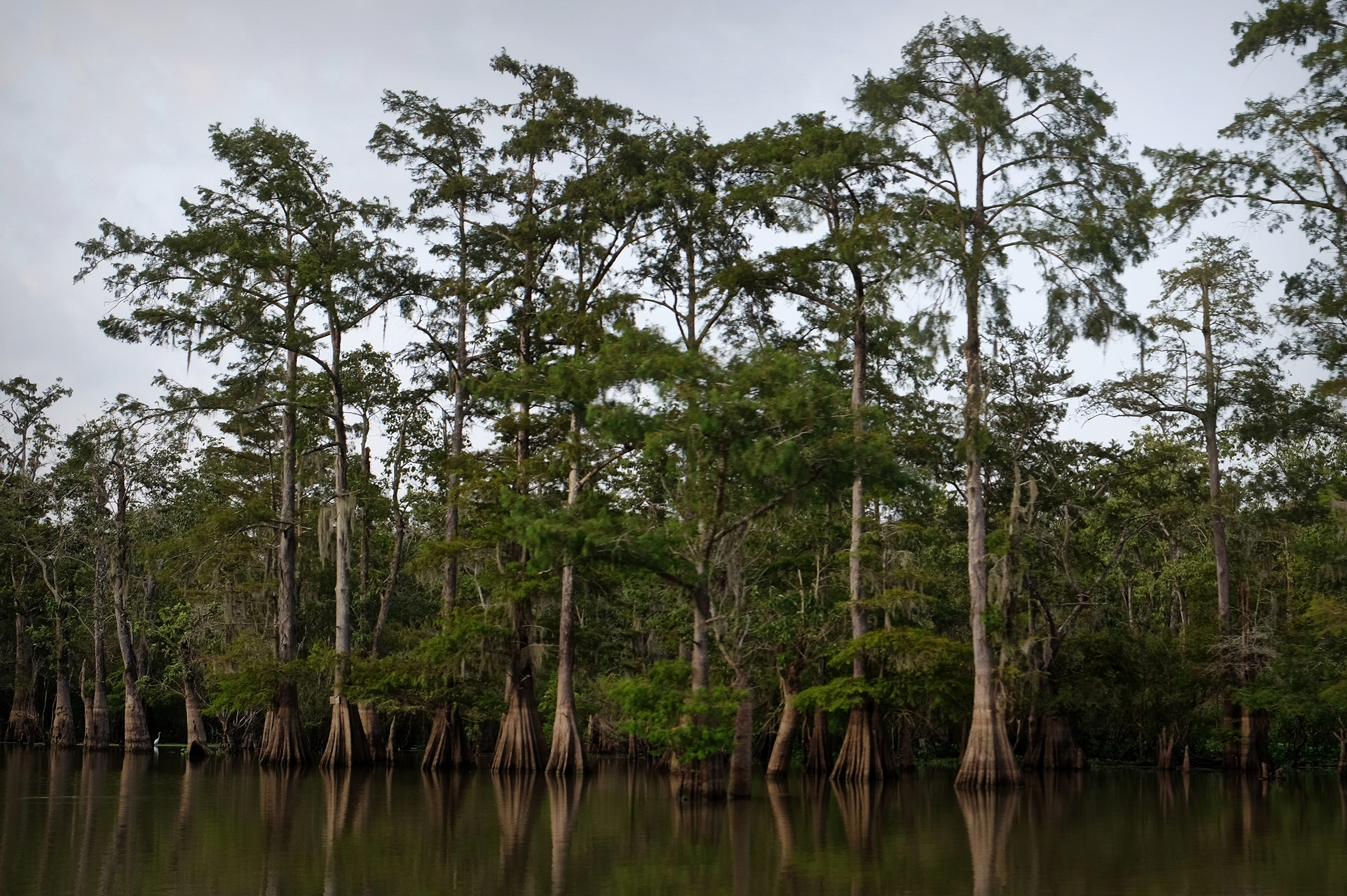 Water Protectors Charged With Felonies Under Louisiana’s Anti-Protest ...
