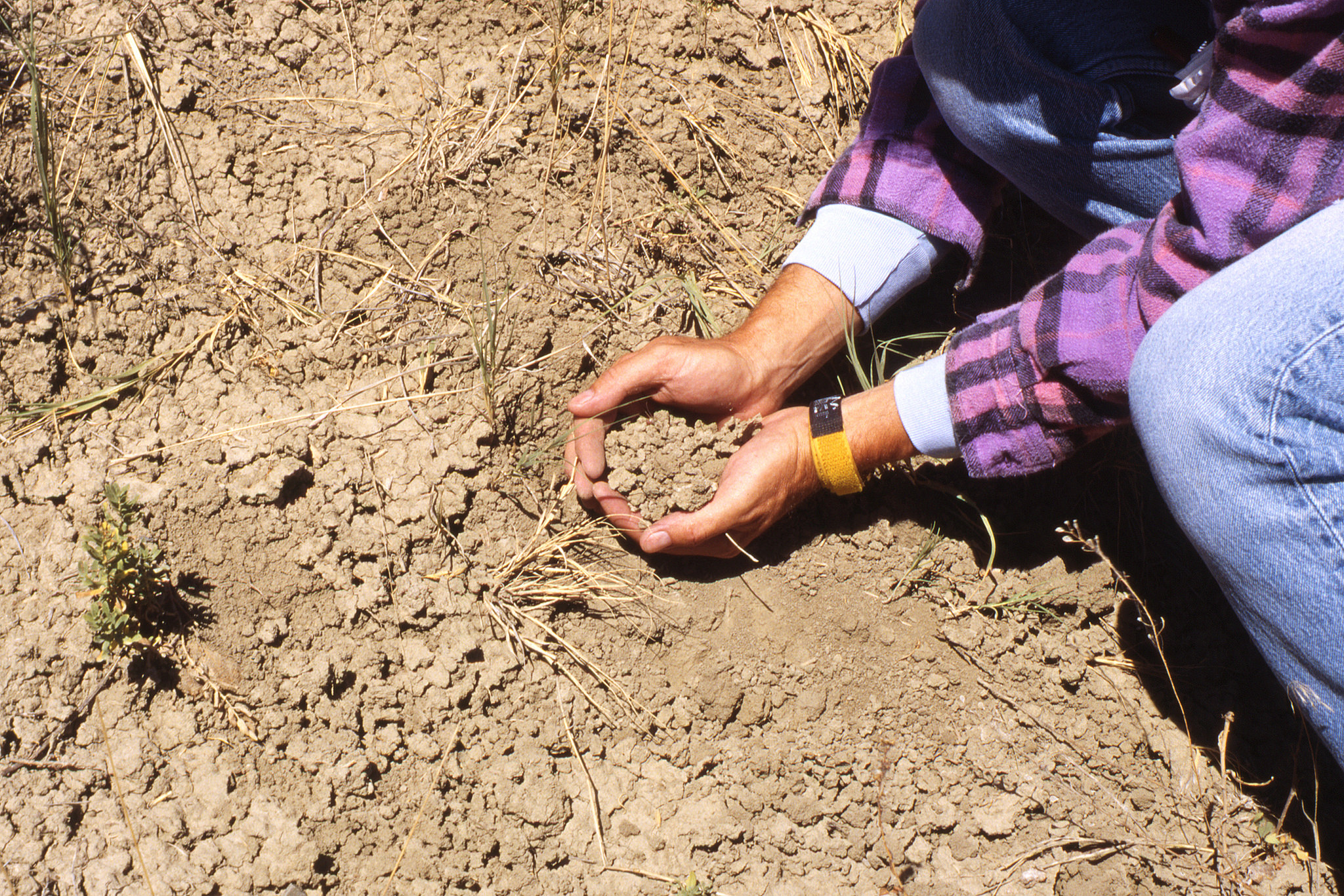 In the Race to End Hunger and Mitigate Climate Change, We Must Look to ...