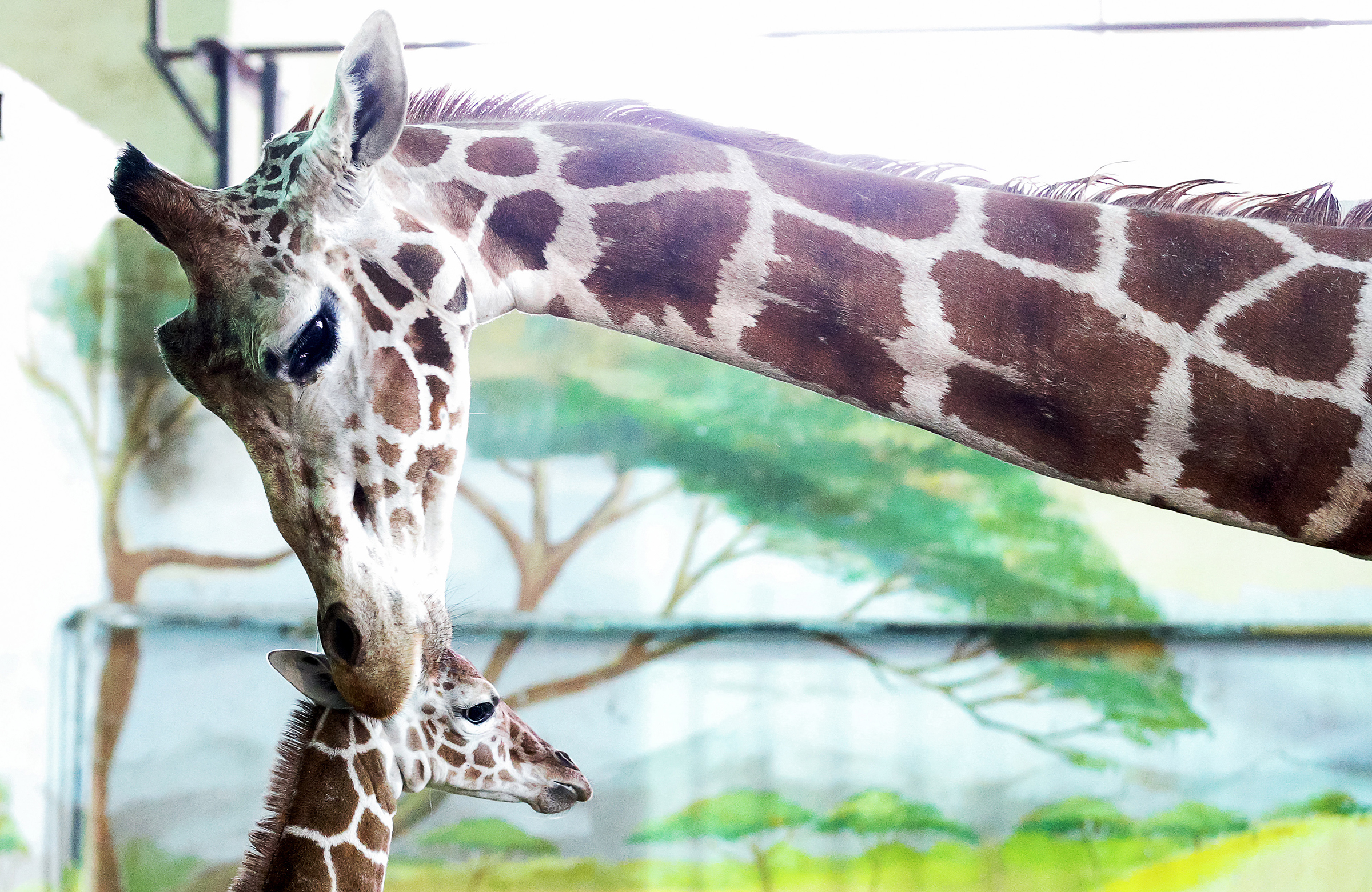 The Trump Administration Is Getting Sued for Failing to Protect ...