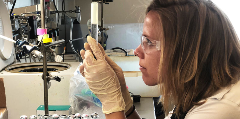 Scientists Are Using Bacteria to Remove Harmful Contaminants From Our ...