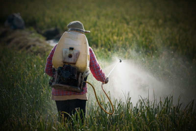 Export of Banned US Pesticides Creates a Deadly Circle of Poison | Truthout