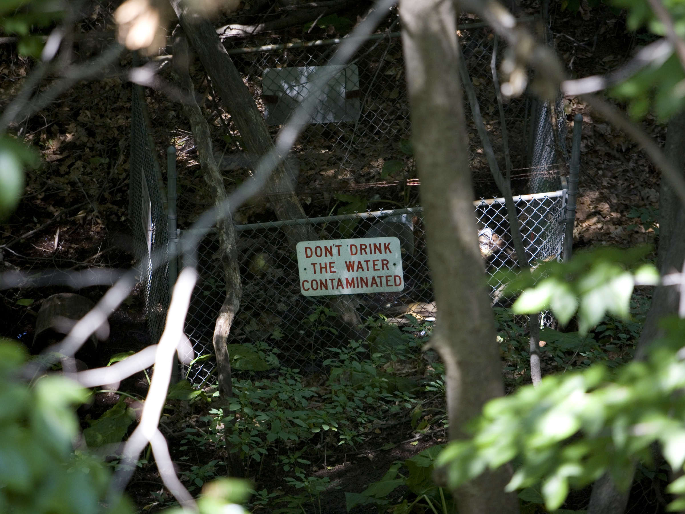 Elizabeth Shogren | Truthout