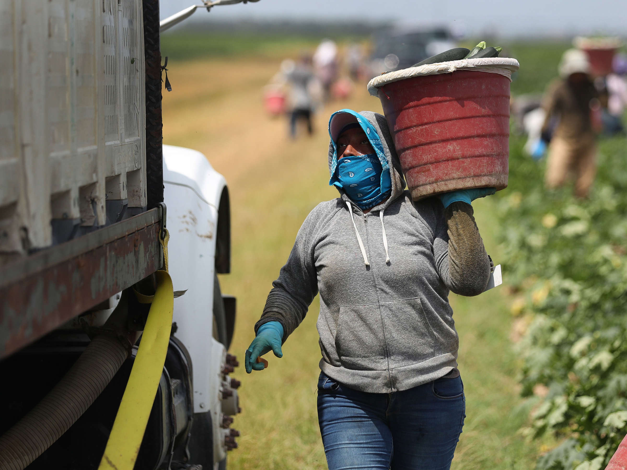 Community-Based Farms Rise to the Occasion as Big Food Supply Chains ...