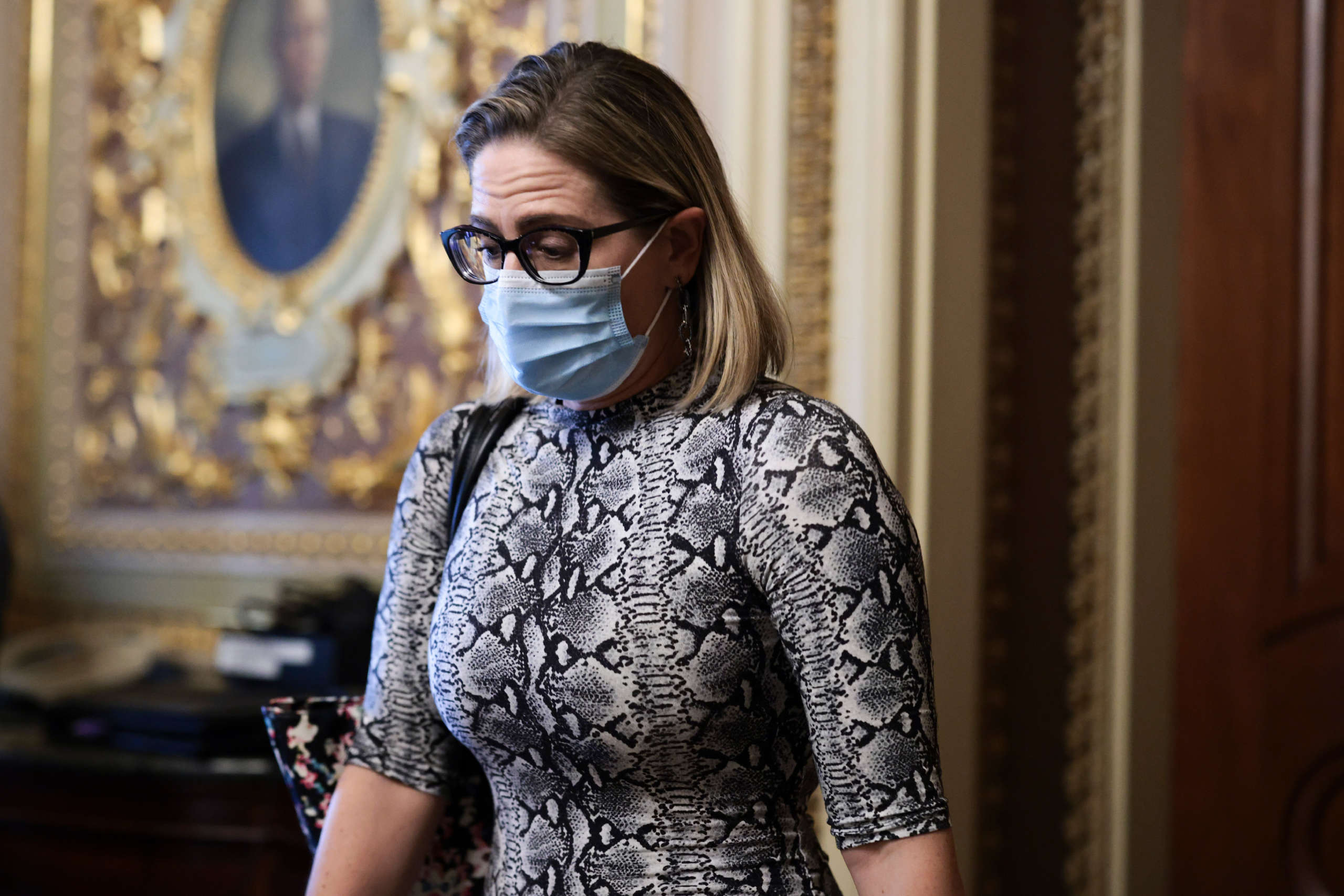 Sinema Is “Obstacle to Progress,” Say 5 Vets Who Quit Her Advisory ...