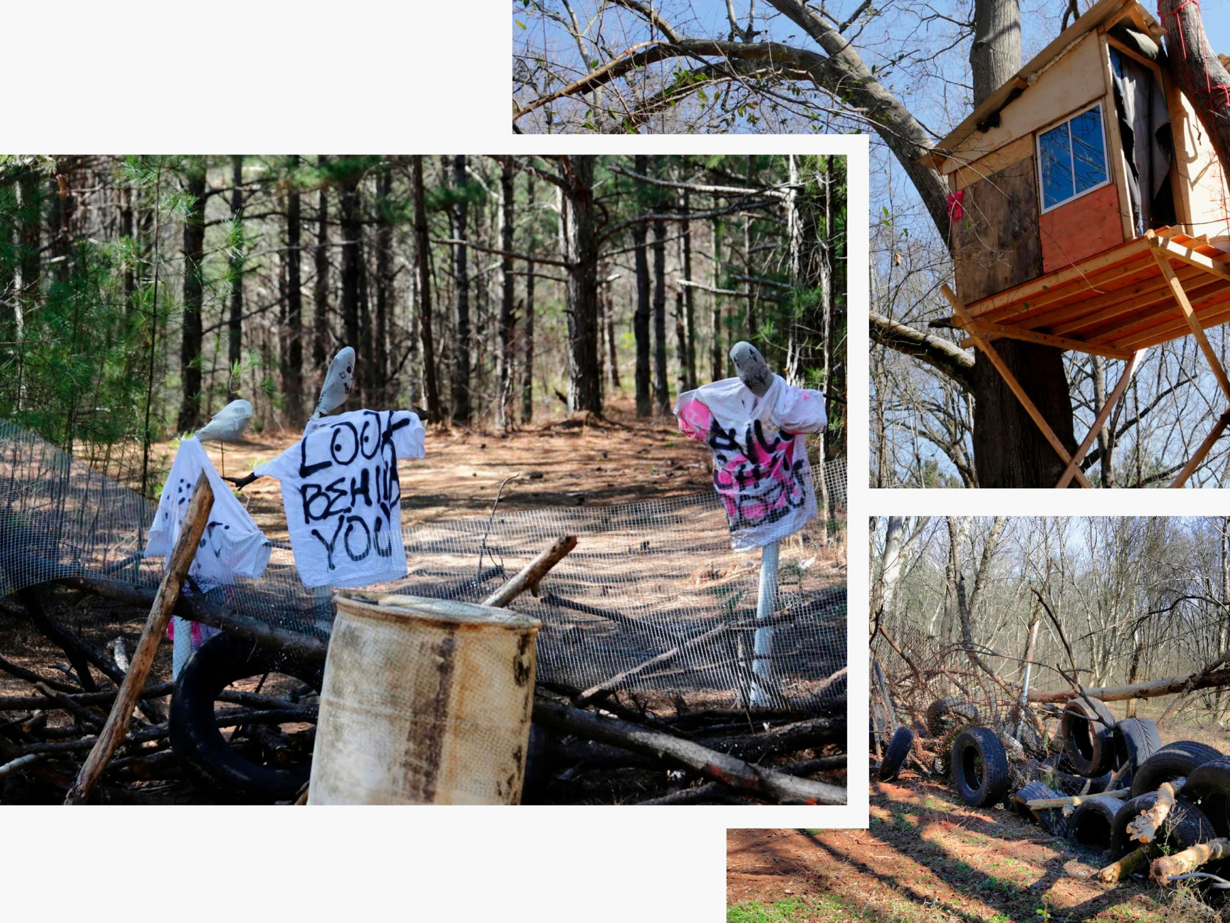 Forest Defense Is About More Than the Trees. It’s About Our Collective ...