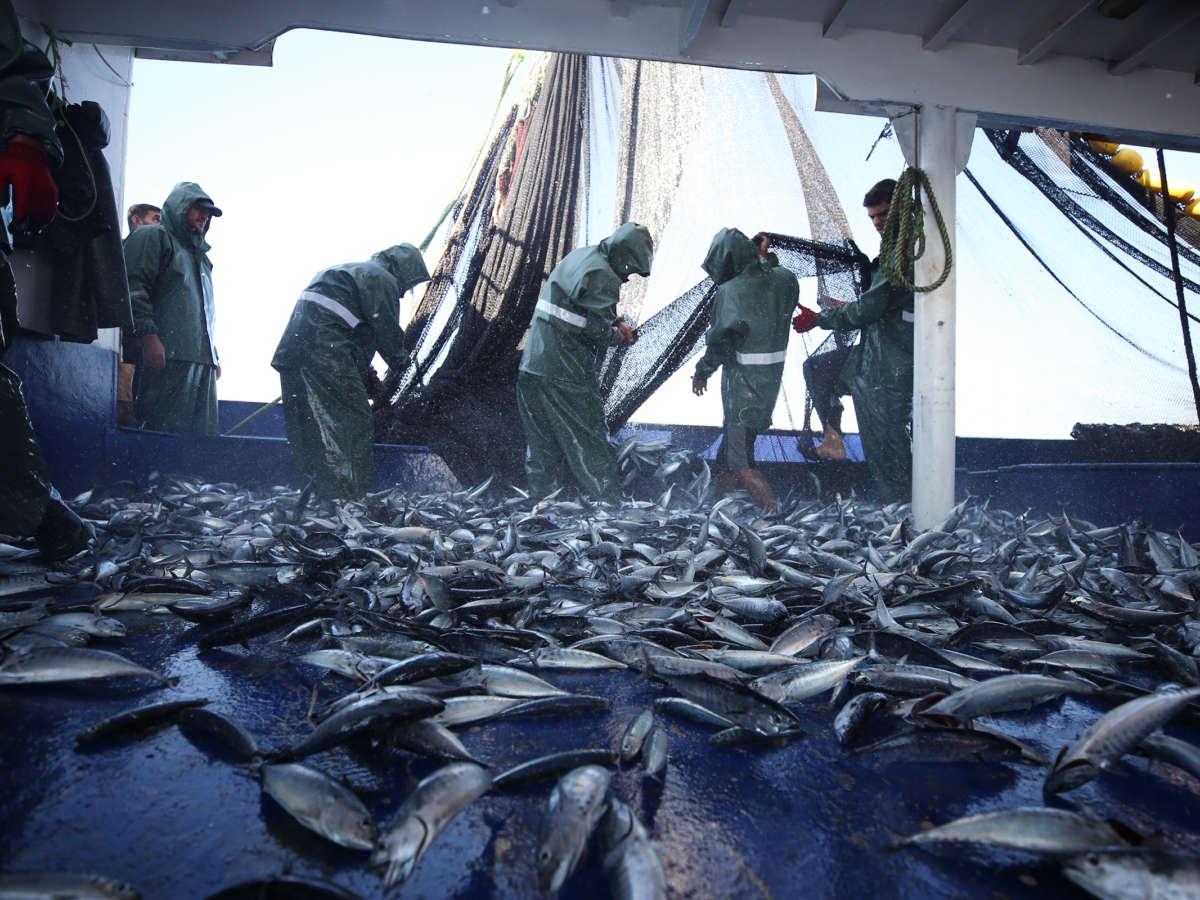 Legal Battle Over Native Fishing Rights Heats Up in Alaska as Salmon ...