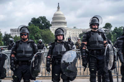 The US Is Descending Into a Crisis of Overt Fascism. There’s Still a ...