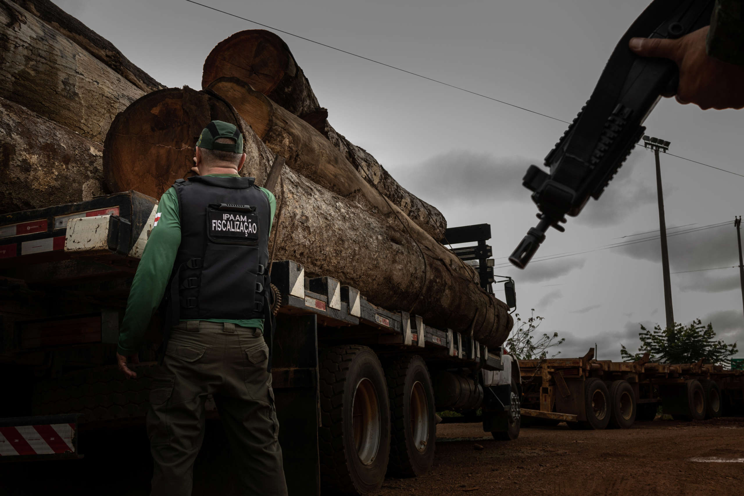COP26 Pledge to Reverse Deforestration Is Not on Track to Be Met ...