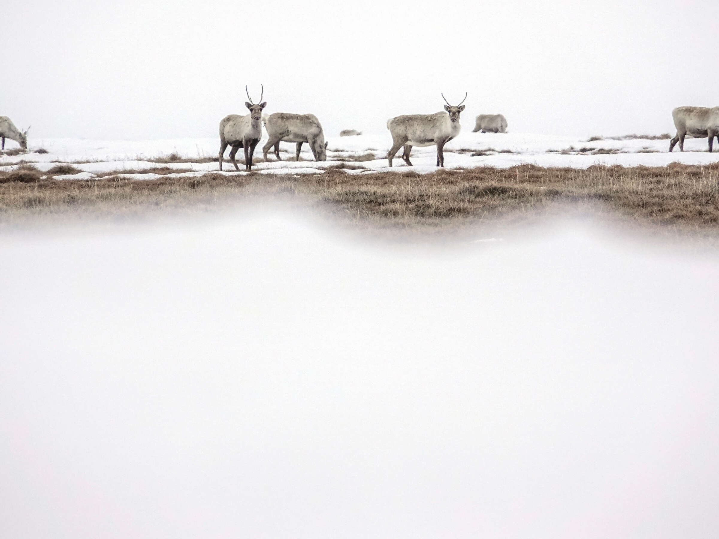 Biden Officials Are Backing Another “Climate Bomb” Fossil Fuel Project ...