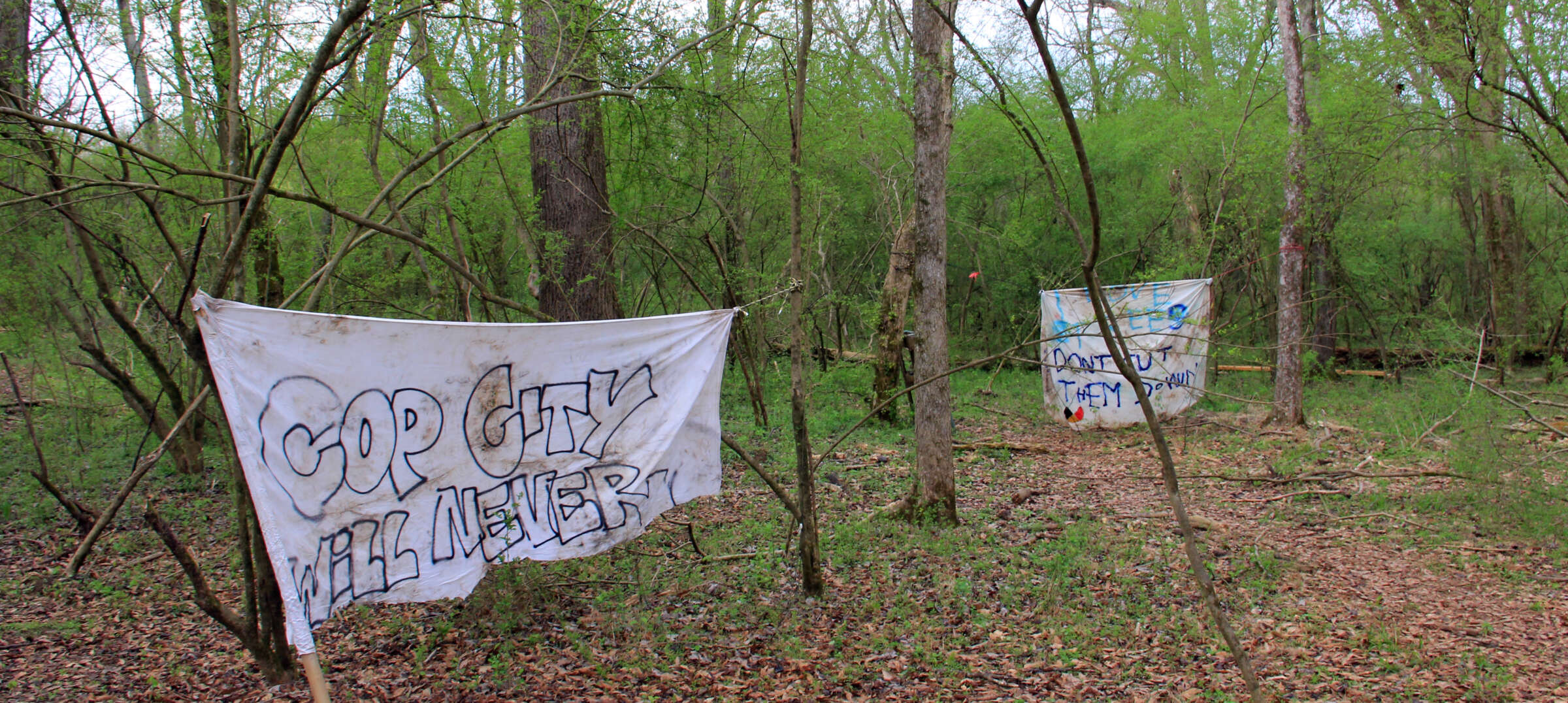 Atlanta Was a Constitution-Free Zone During “Stop Cop City” Week of ...