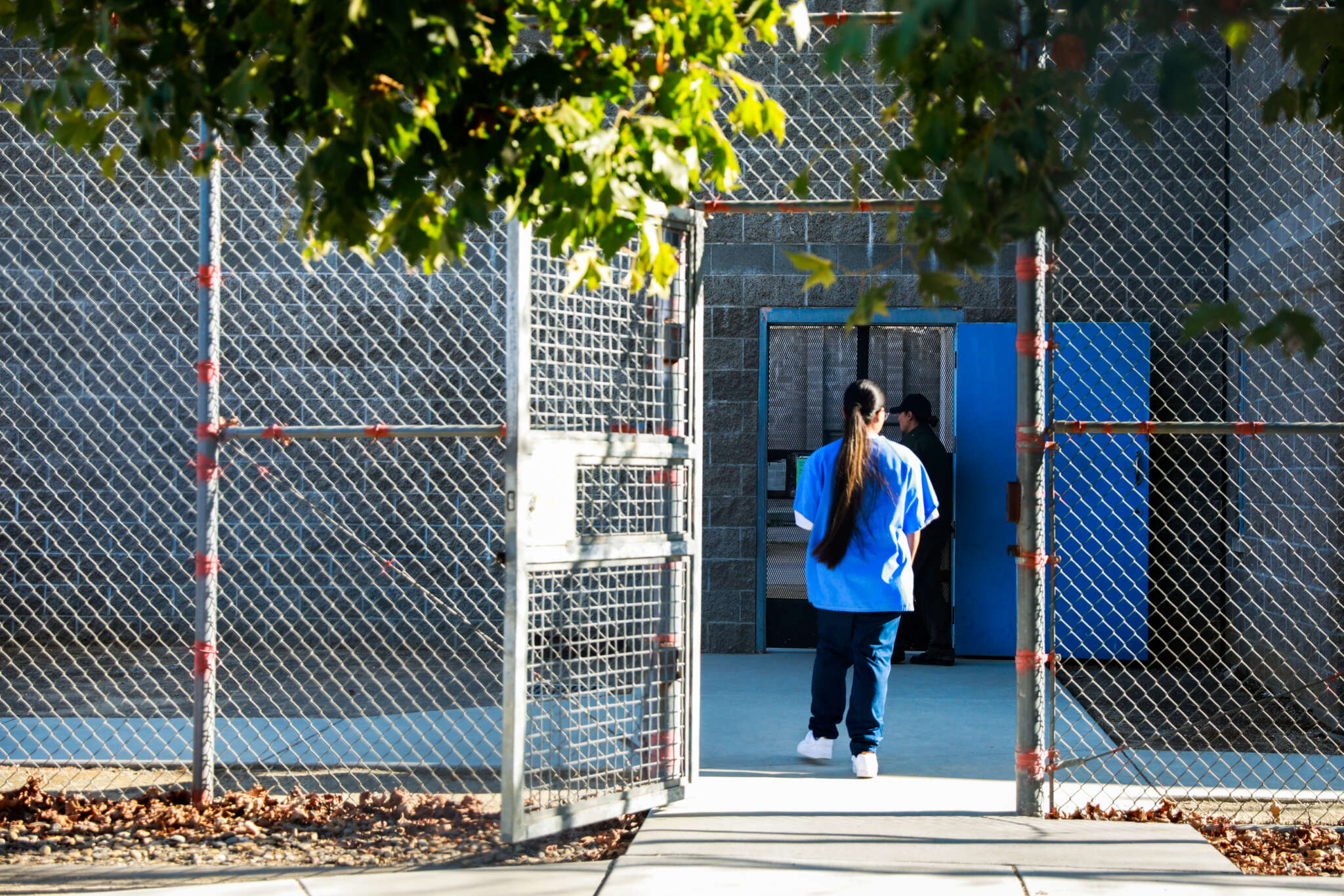 New Report Reveals Systemic Medical Neglect and Violence in CA Women’s ...