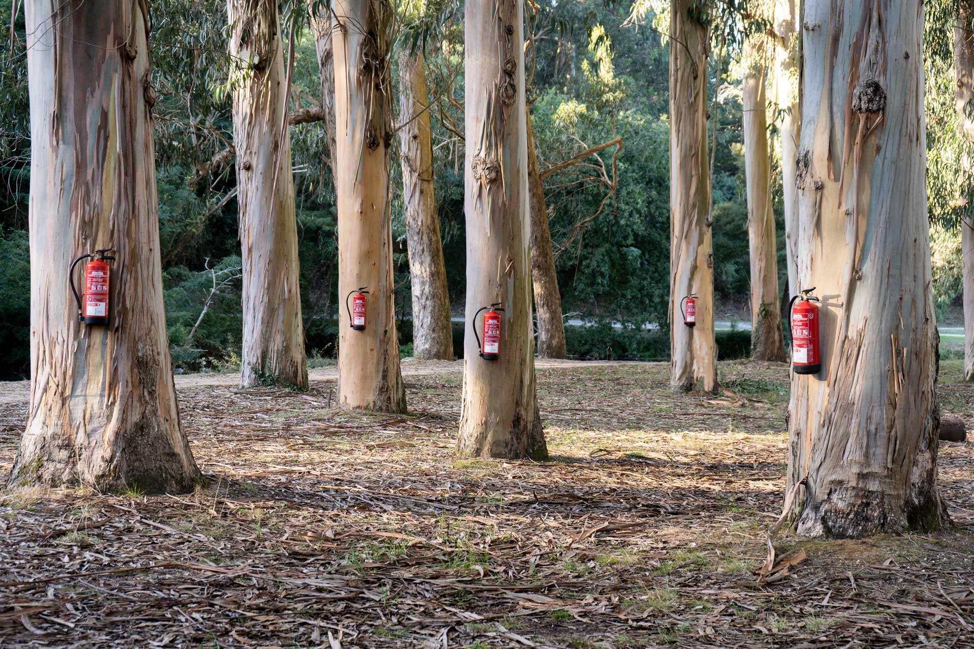 Where There’s Smoke, There’s Fire: Art Exhibit Calls Viewers to ...