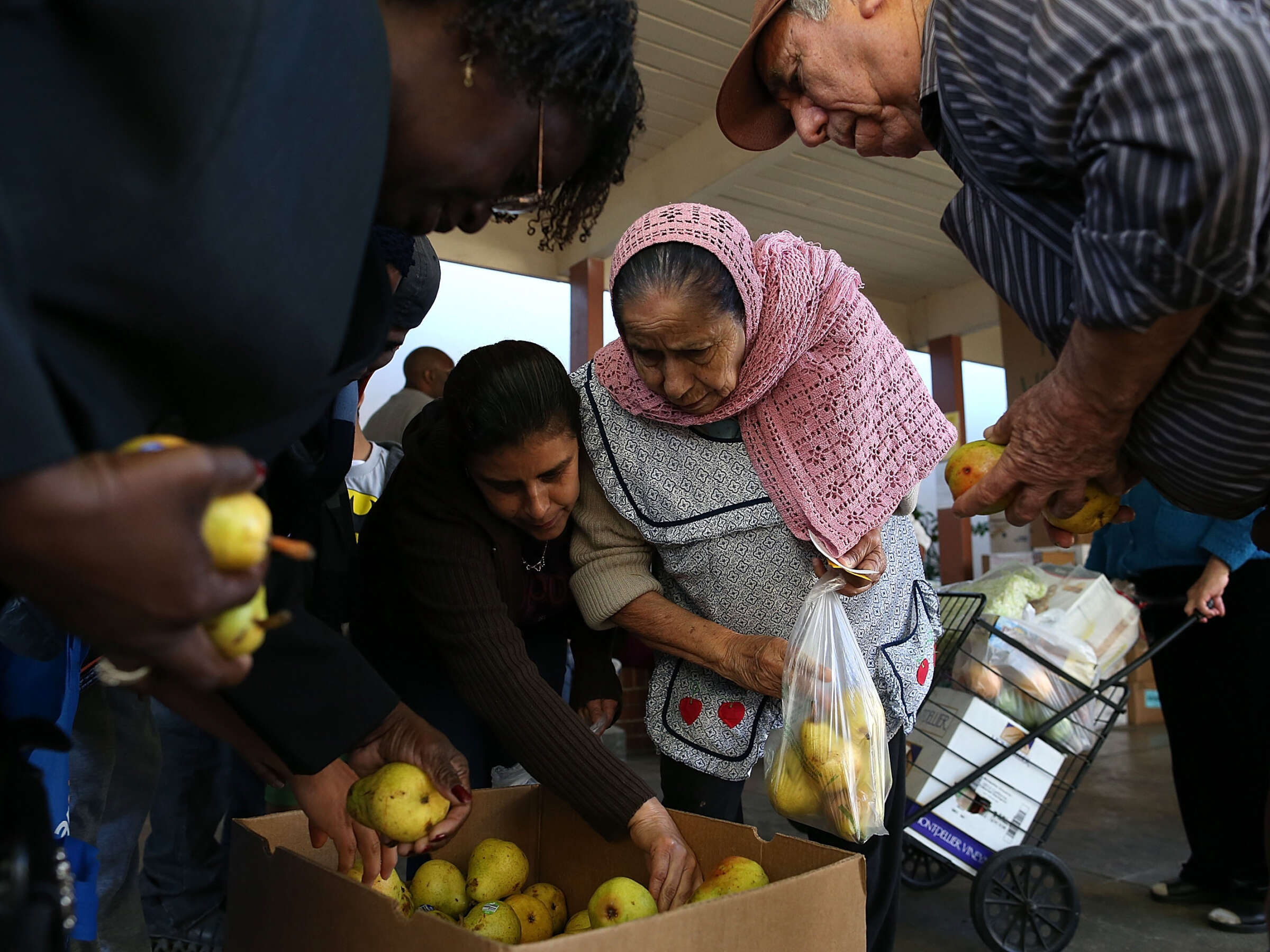 Adams Administration Fails to Process Food Stamps for Vulnerable New ...
