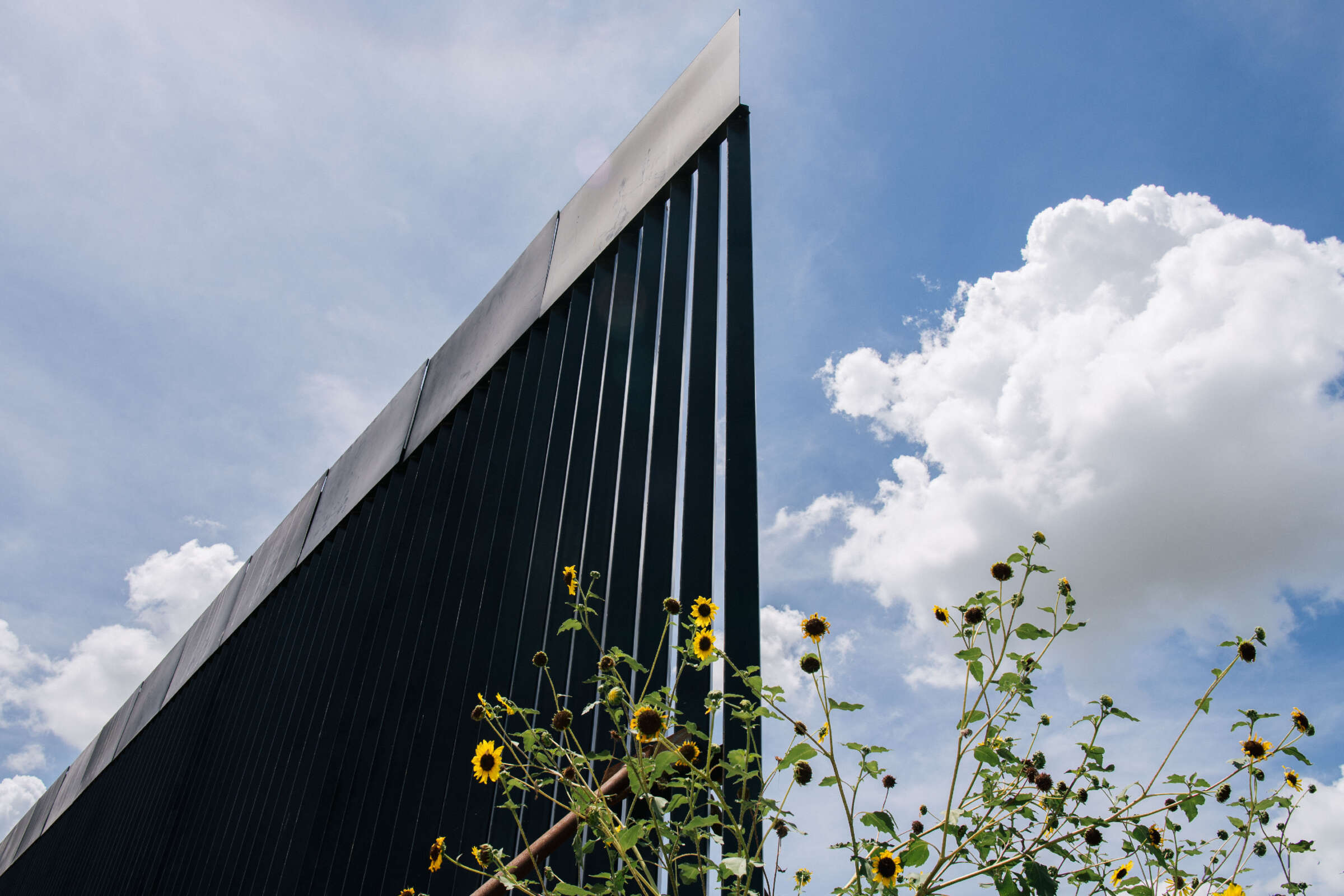 Abbott’s Billion-Dollar Barrier Barrels Forward | Truthout