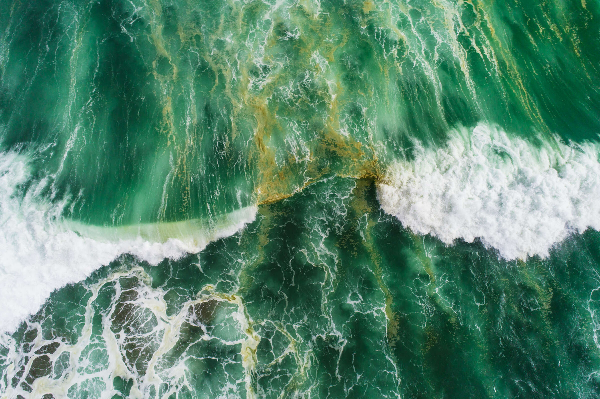 Climate Change Is Turning The Ocean Green Truthout Climate Change Is Turning The Ocean Green Truthout