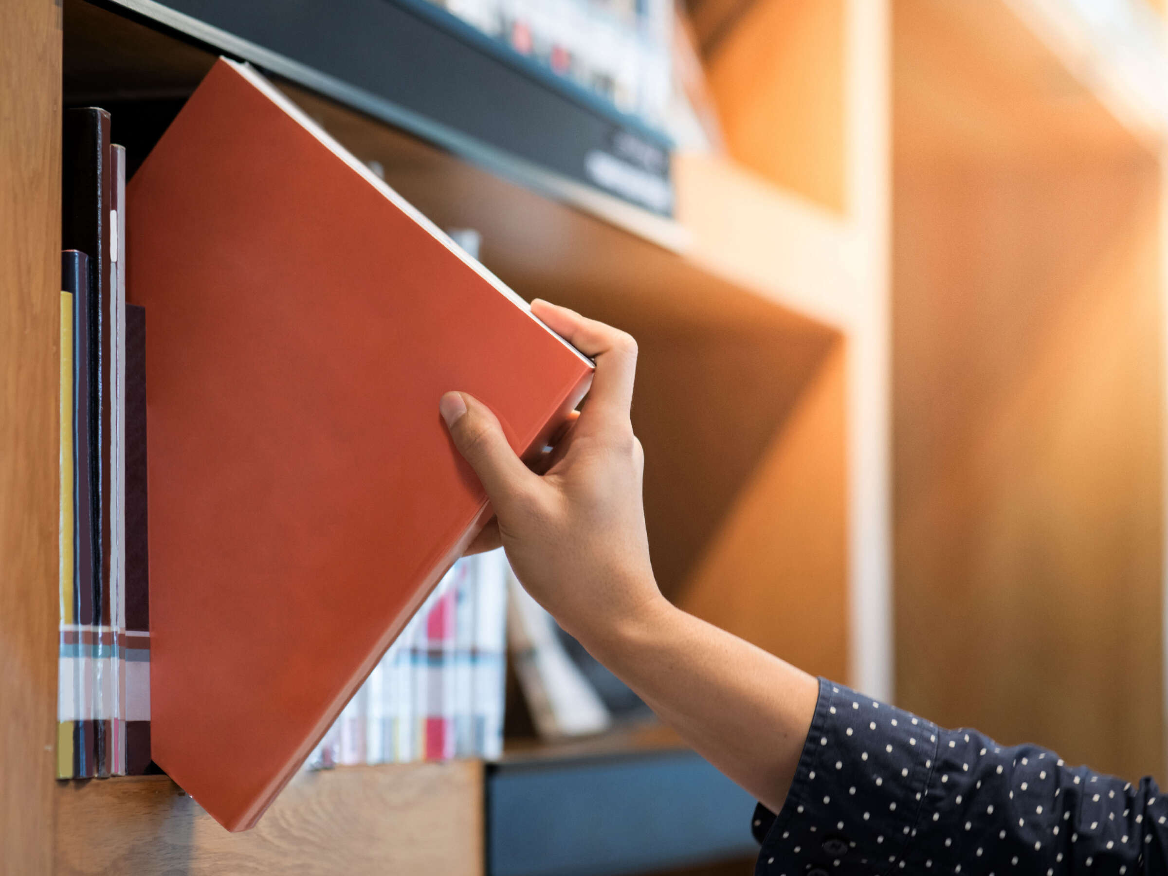 WI Bills Would Require Libraries to Tell Parents What Books Their Kids ...