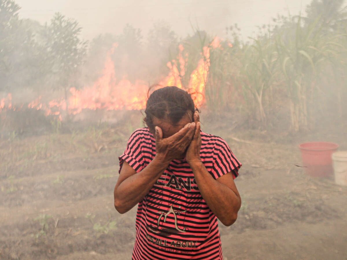 Record-Breaking Heat, Wildfires, and Storms Globally Linked to Climate ...