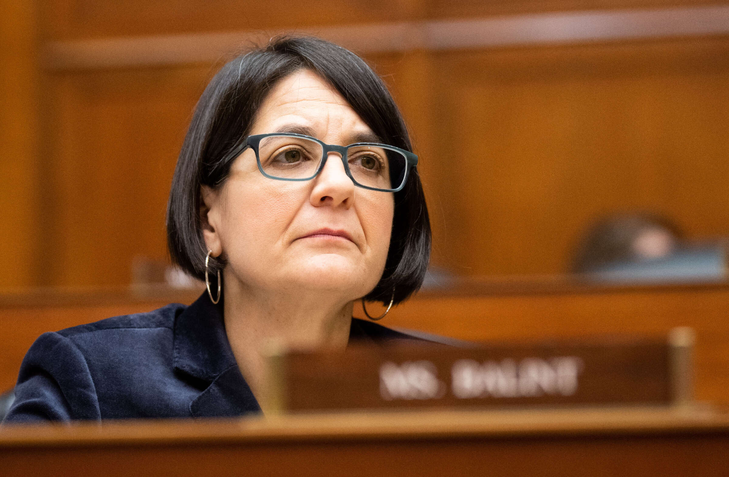 House Democrat Says Family Ties to Holocaust Led Her to Demand Gaza ...