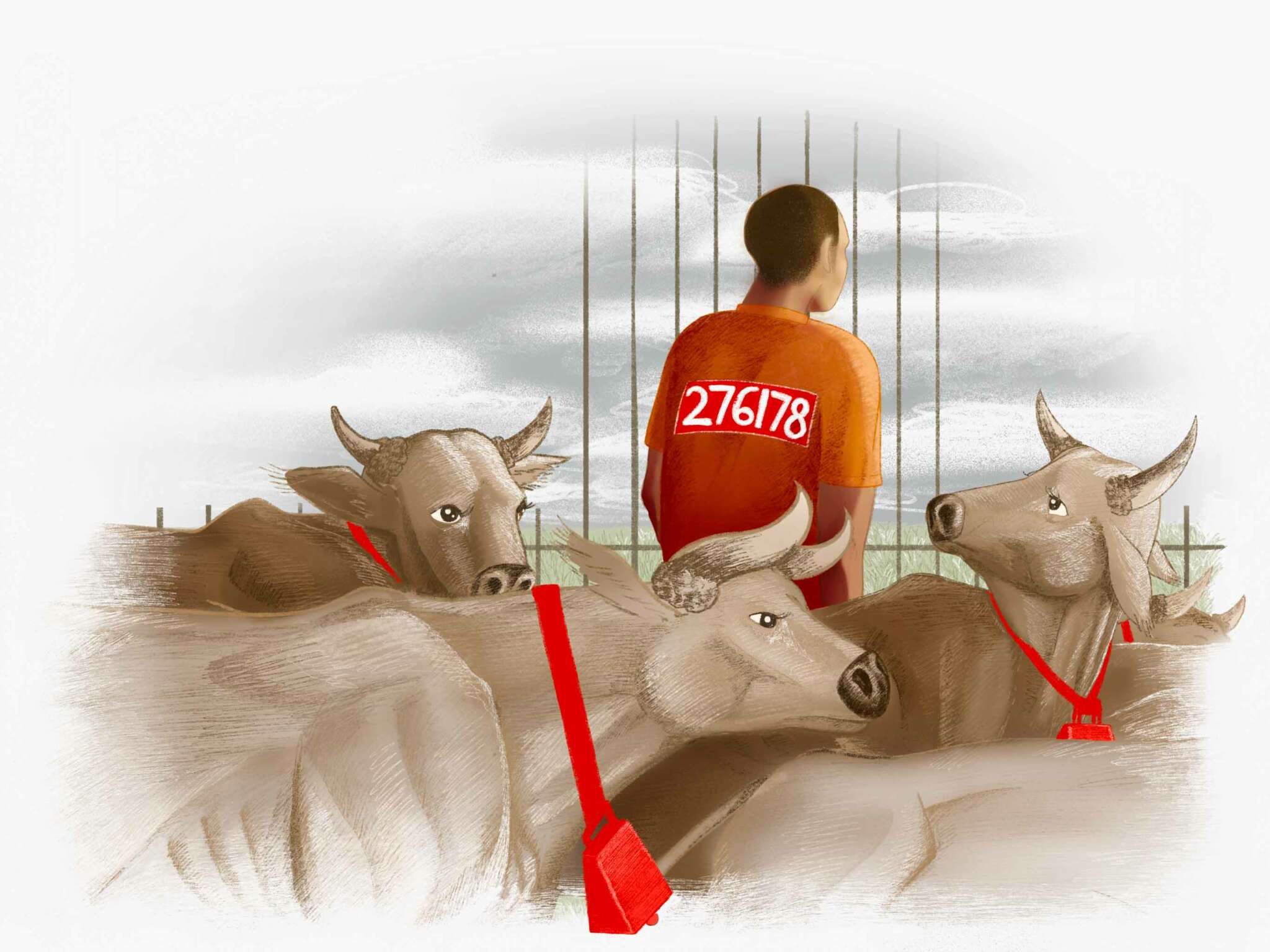 Food Insecurity in Prison Makes People Like Me Vulnerable to Labor ...