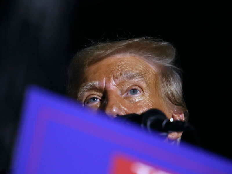 The Terrible Trump Portrait That Explains Everything | Truthout