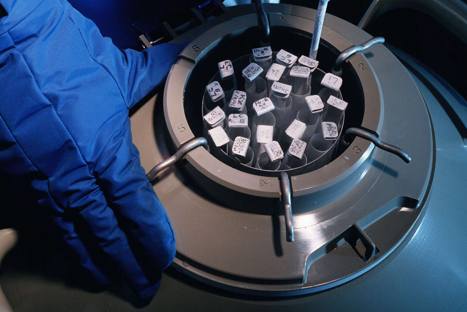 Alabama Supreme Court Rules Embryos Are “Children” by Citing Bible ...