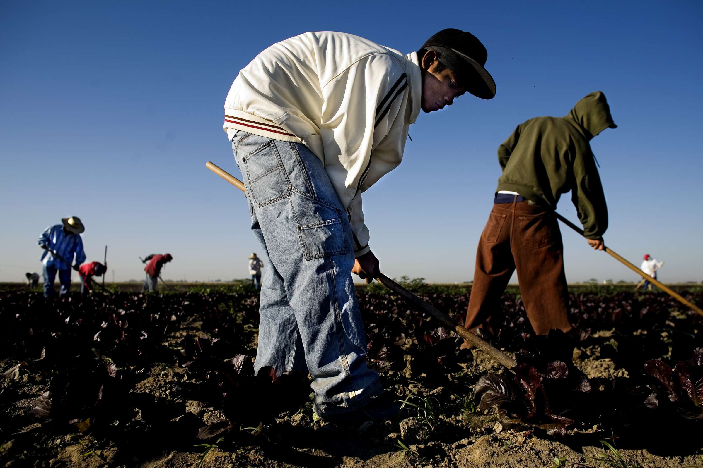 1 US Worker Dies on the Job Every 96 Minutes, Latest Data Shows | Truthout
