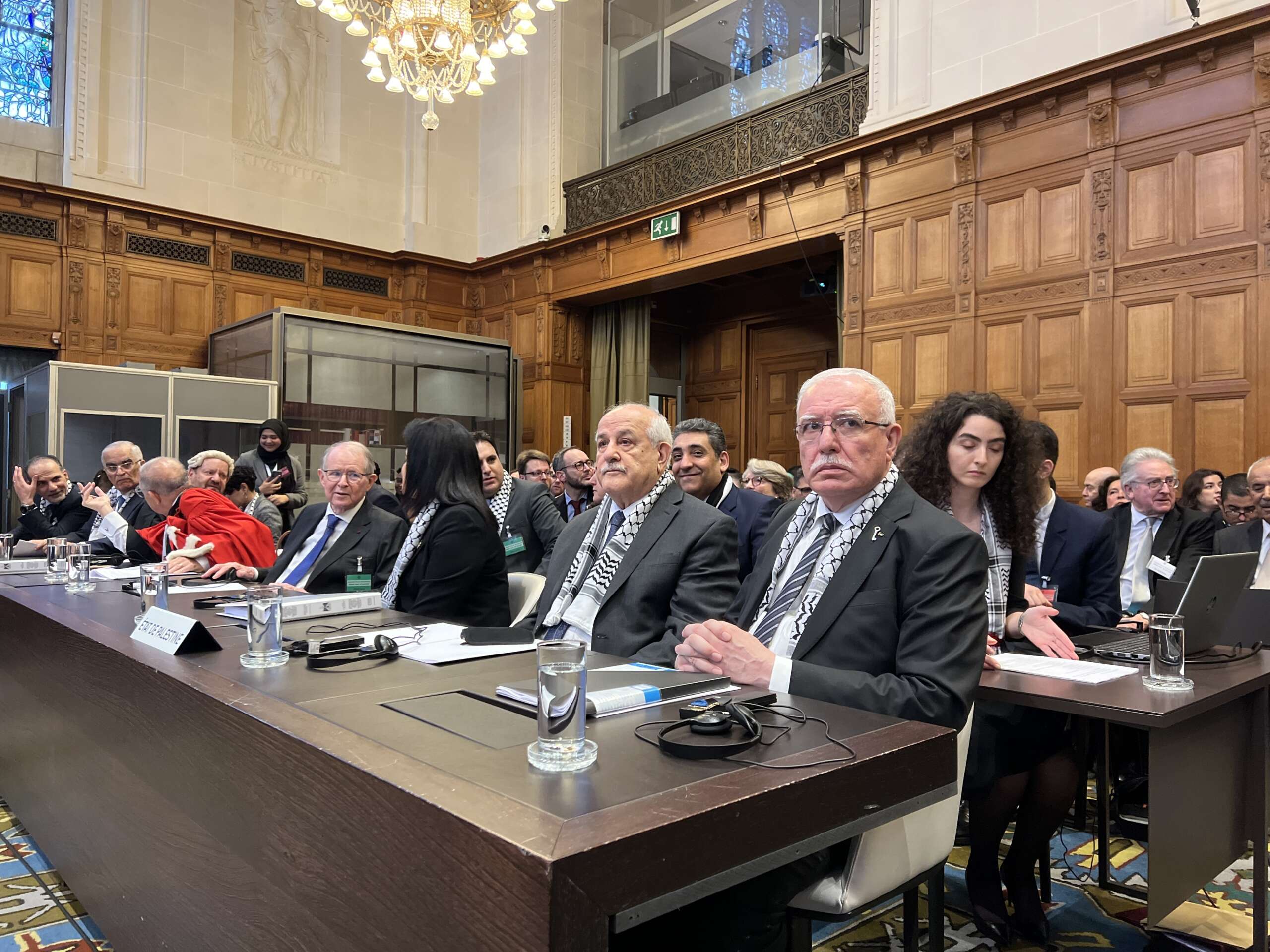 Palestine Lawyer at ICJ Says US Continues to Shield Israel From ...