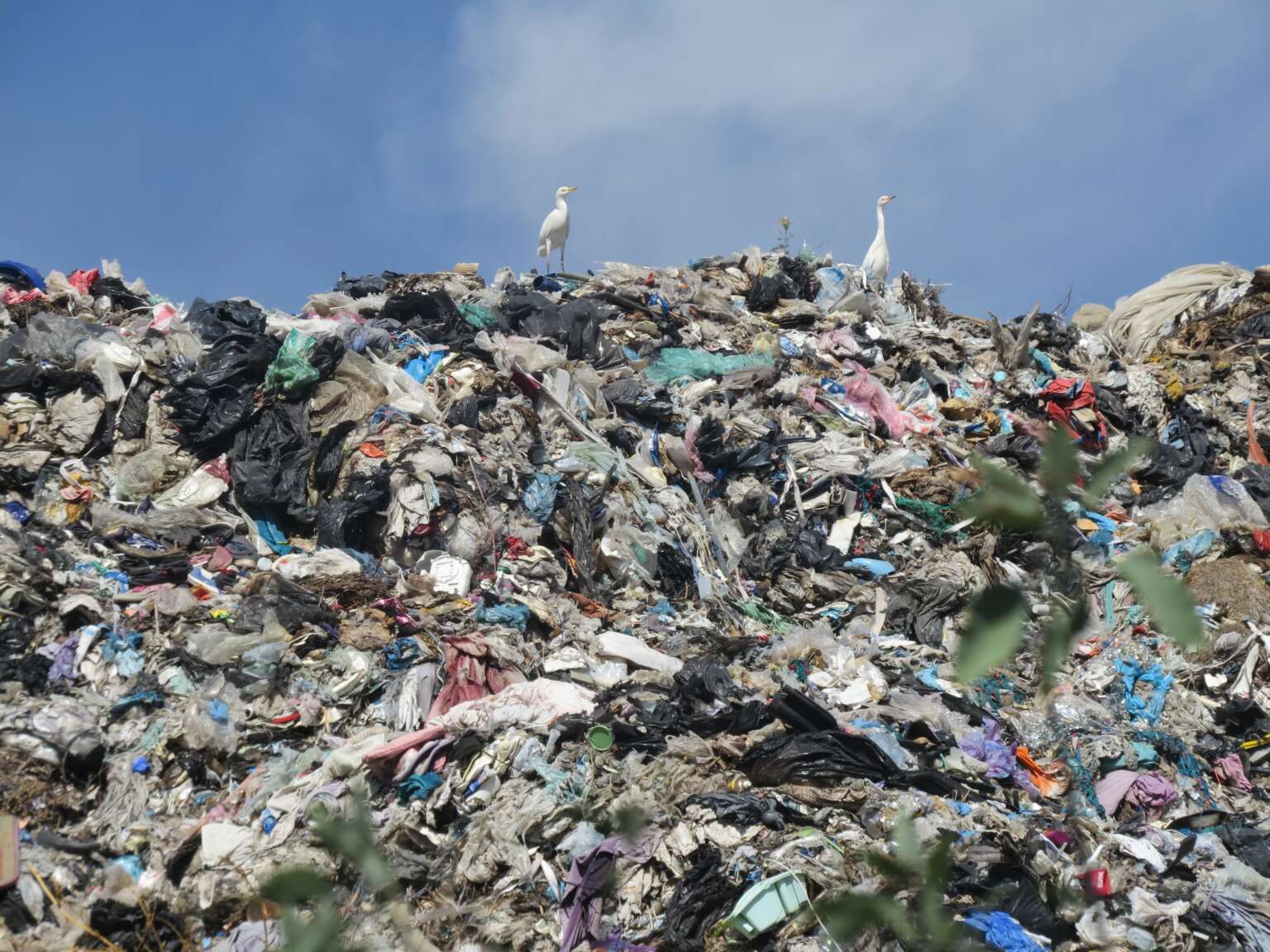 Pollution Crisis in Mexico Shows Limits of Plastic Bag Bans in Global ...