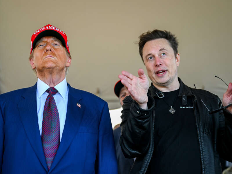 Elon Musk to Host X Event Promoting Neo-Nazi AfD Party Ahead of German ...