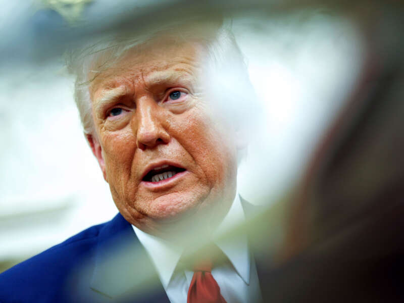 Trump Official Tells Americans to Buy Chickens to Deal With Egg Pricing ...