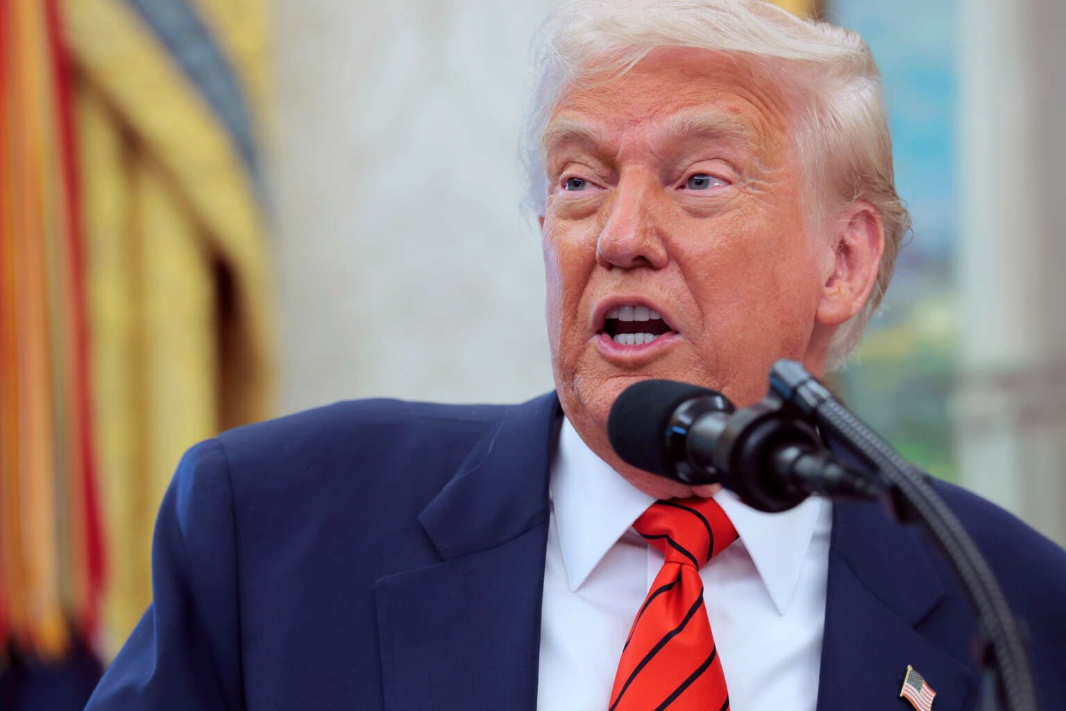 Trump Defends Far Right AfD Party After German Intelligence Calls It ...