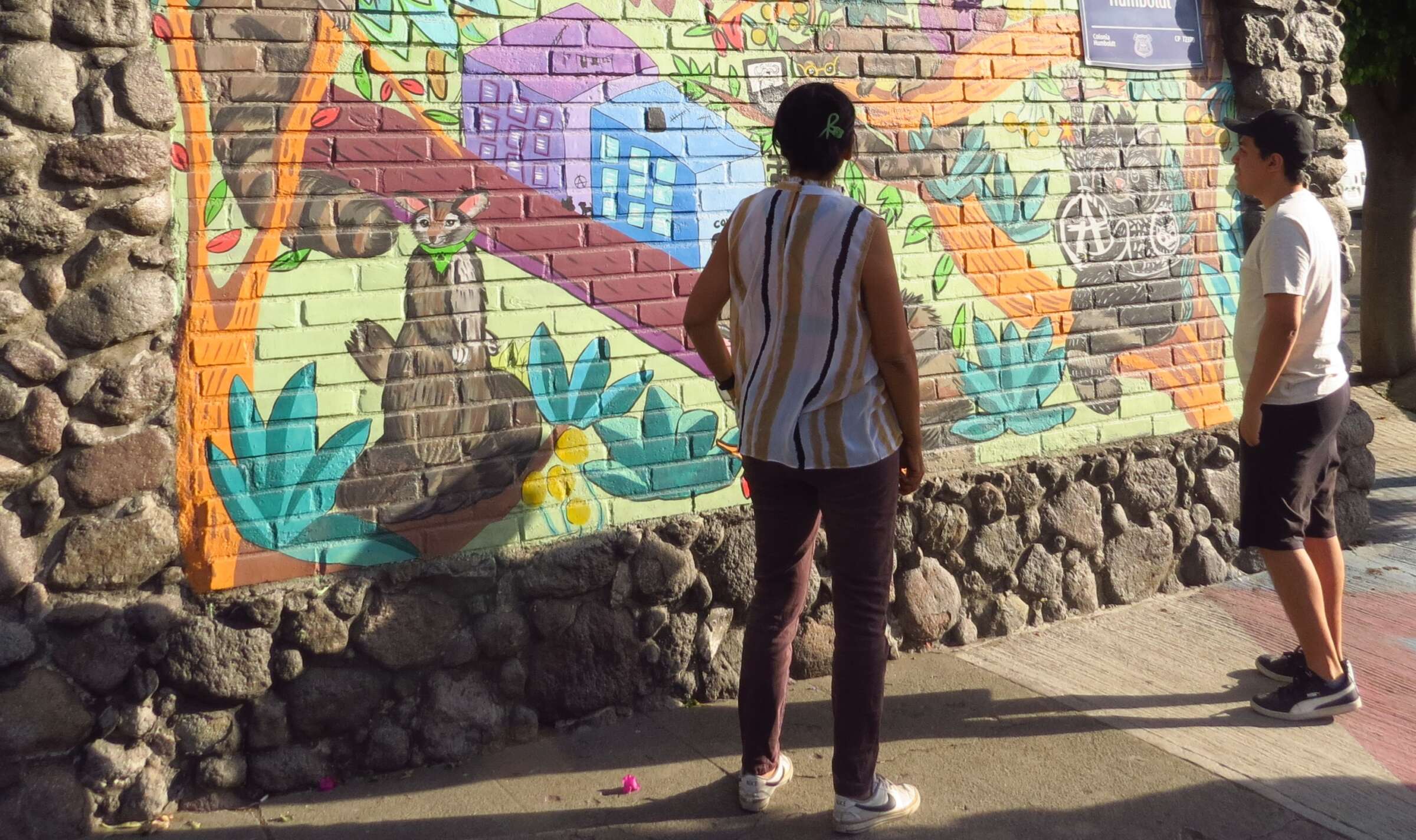 Mexican Activists Are Building Digital Defenses Against Big Tech ...