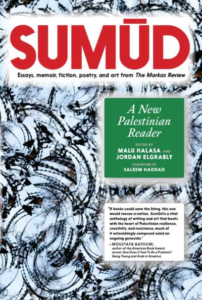 A New Generation of Palestinian Activists Uses Art as Nonviolent ...