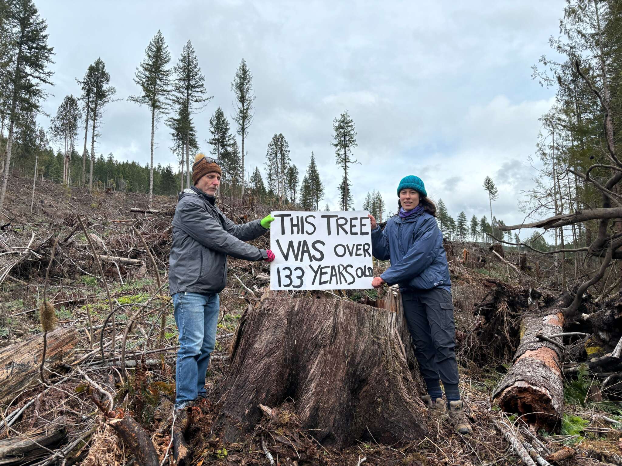 Forest Protectors Launch Tree Sit and Lawsuits to Stop Ecocidal Logging ...