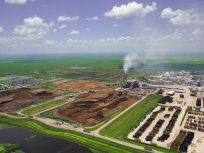 Will Public Health Suffer From EPA Greenlighting Forest Biomass Energy?