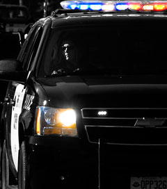 Susan Searls Giroux - Truthout