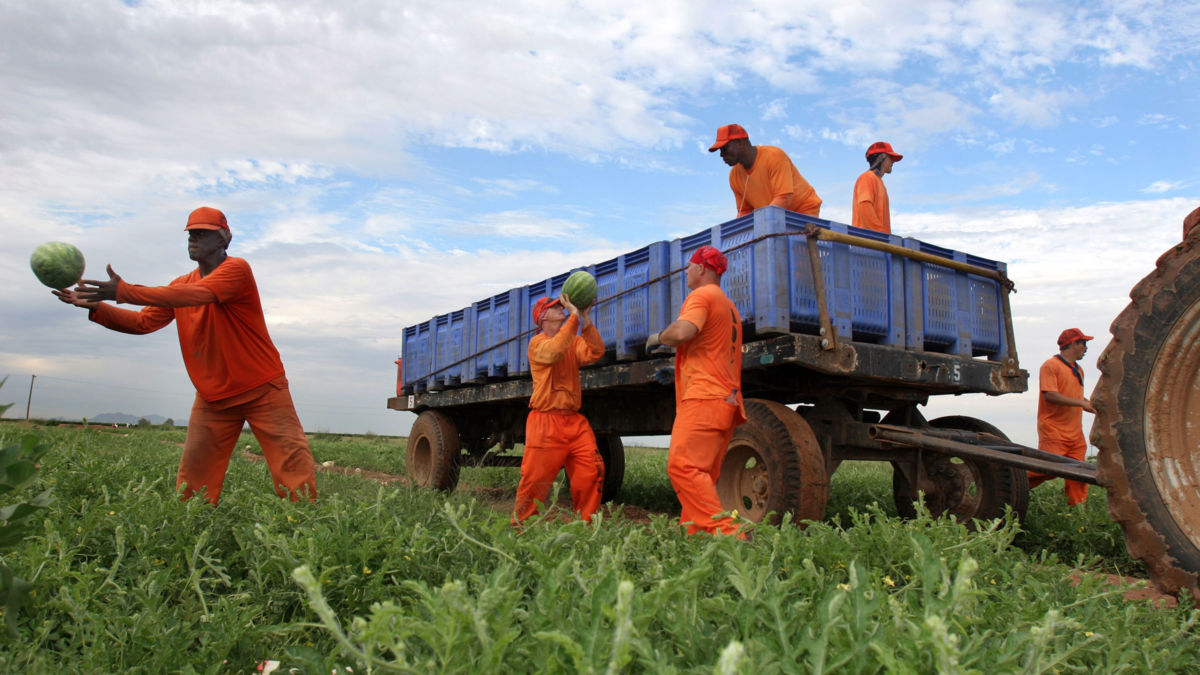 For Incarcerated Workers, Summer Heat Can Be a Death Sentence