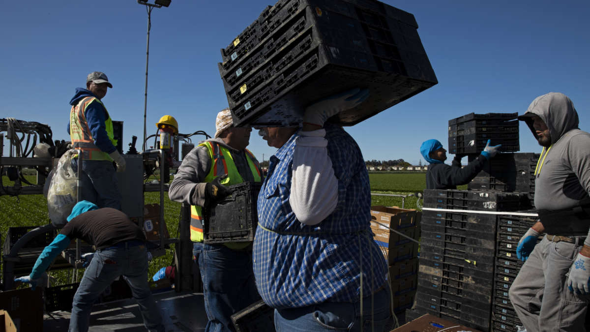 Migrant Workers Are Essential Workers and Must Be Included in ...