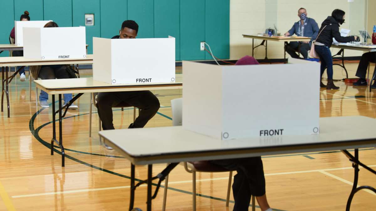 Early Voting Is at Unprecedented Levels. It Could Define the 2020 Election.