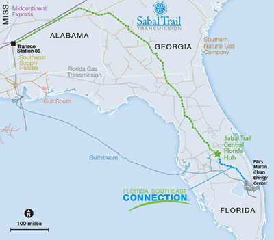 "This State Is on the Front Lines": Floridians Mobilize Against Sabal ...